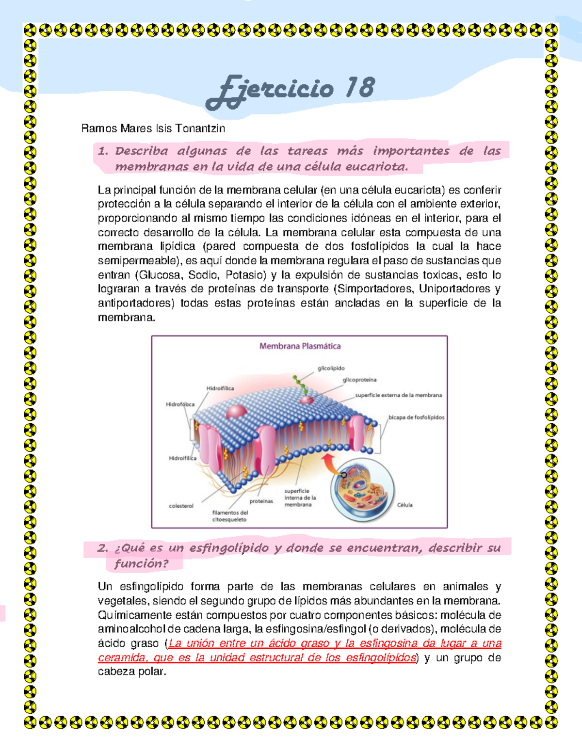 Ejercicio 18 Isis Tonantzin Ramos Mares - Ejercicio 18 Ramos Mares Isis Tonantzin 1. Describa ...