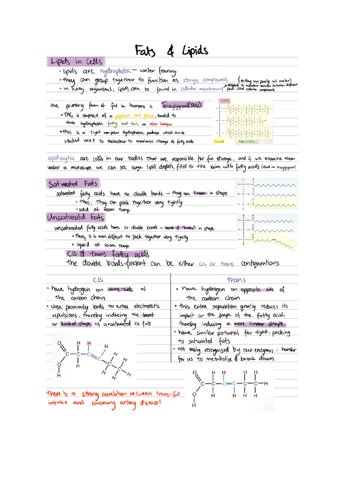 Fats and lipids - week 2 online learning - BIOL1020 - Studocu