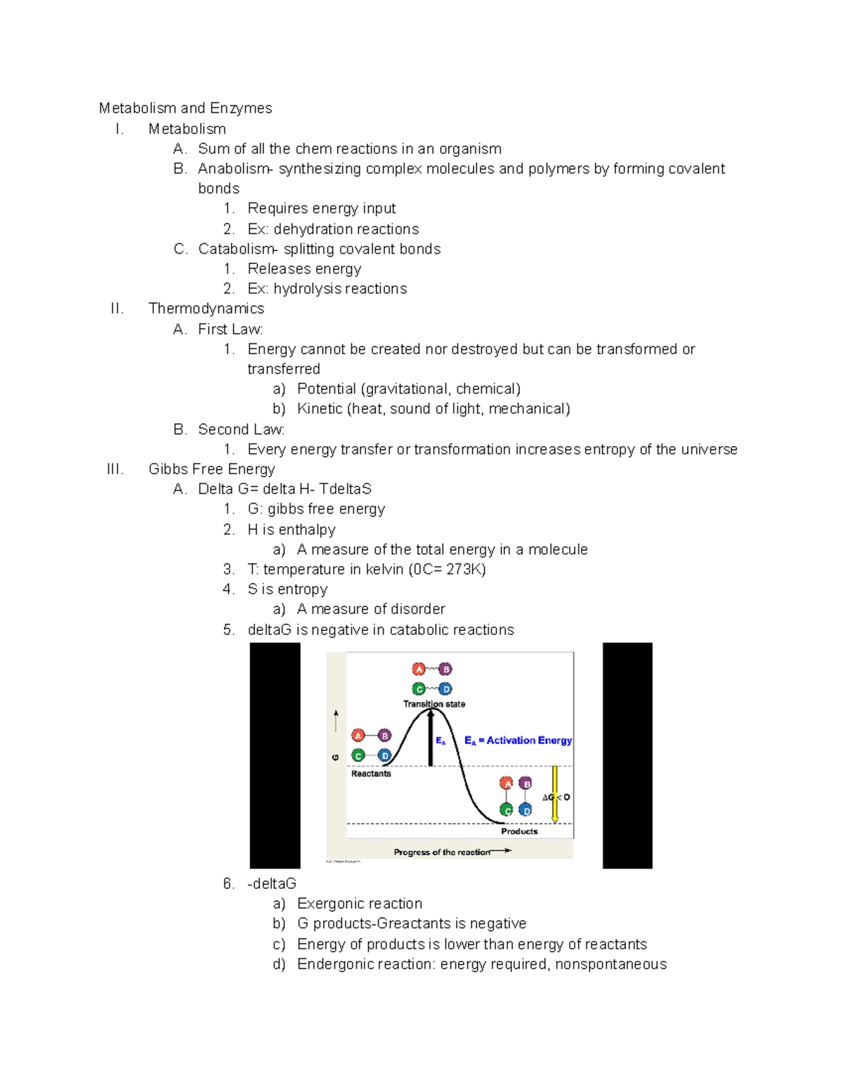 Metabolism - Lecture Notes - Metabolism and Enzymes I. Metabolism A ...
