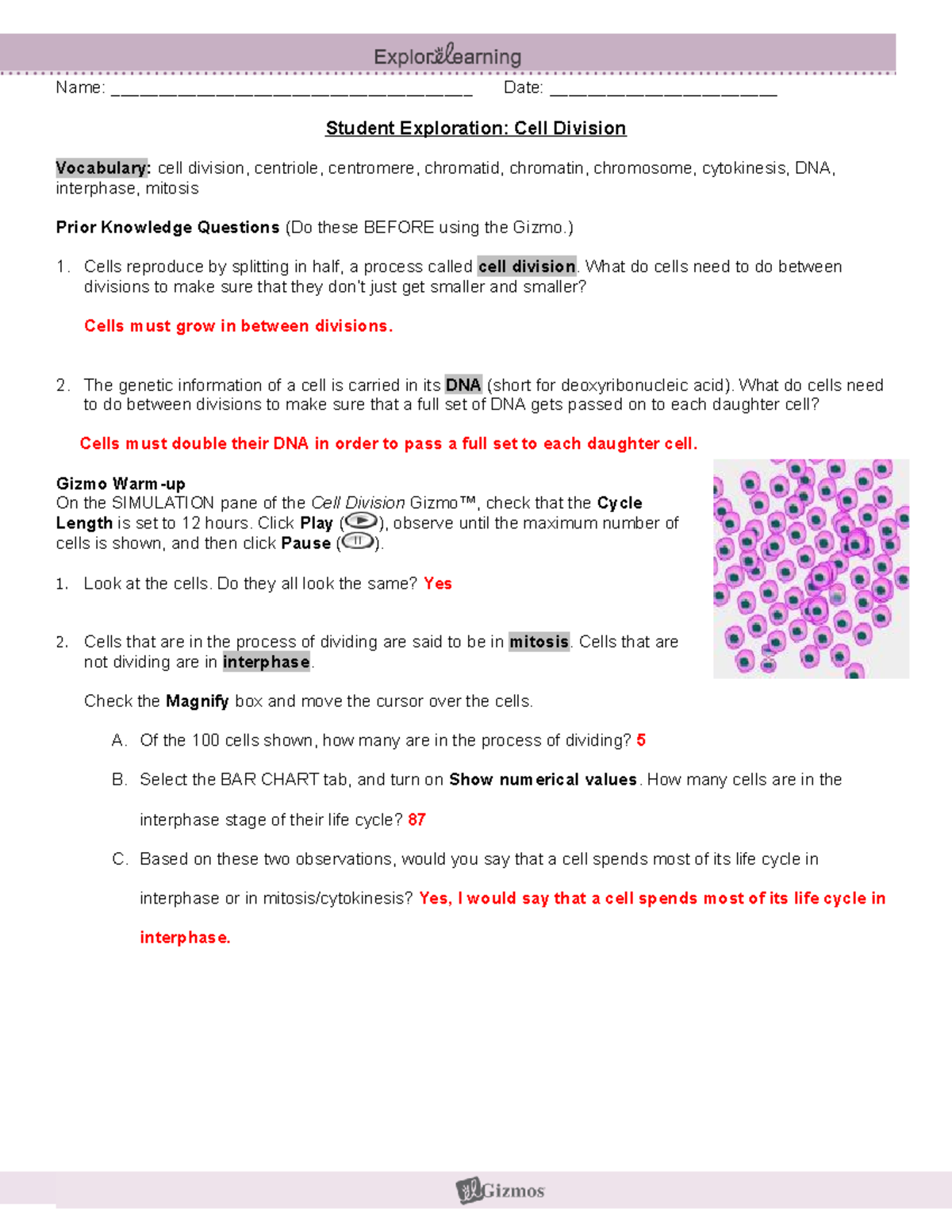 Joshua Chau - Cell Division Gizmo - Name ...