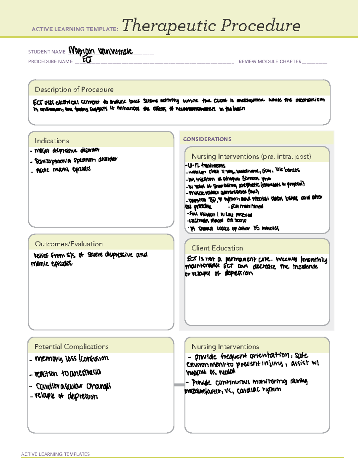 ECT - homework - ACTIVE LEARNING TEMPLATES Therapeutic Procedure ...
