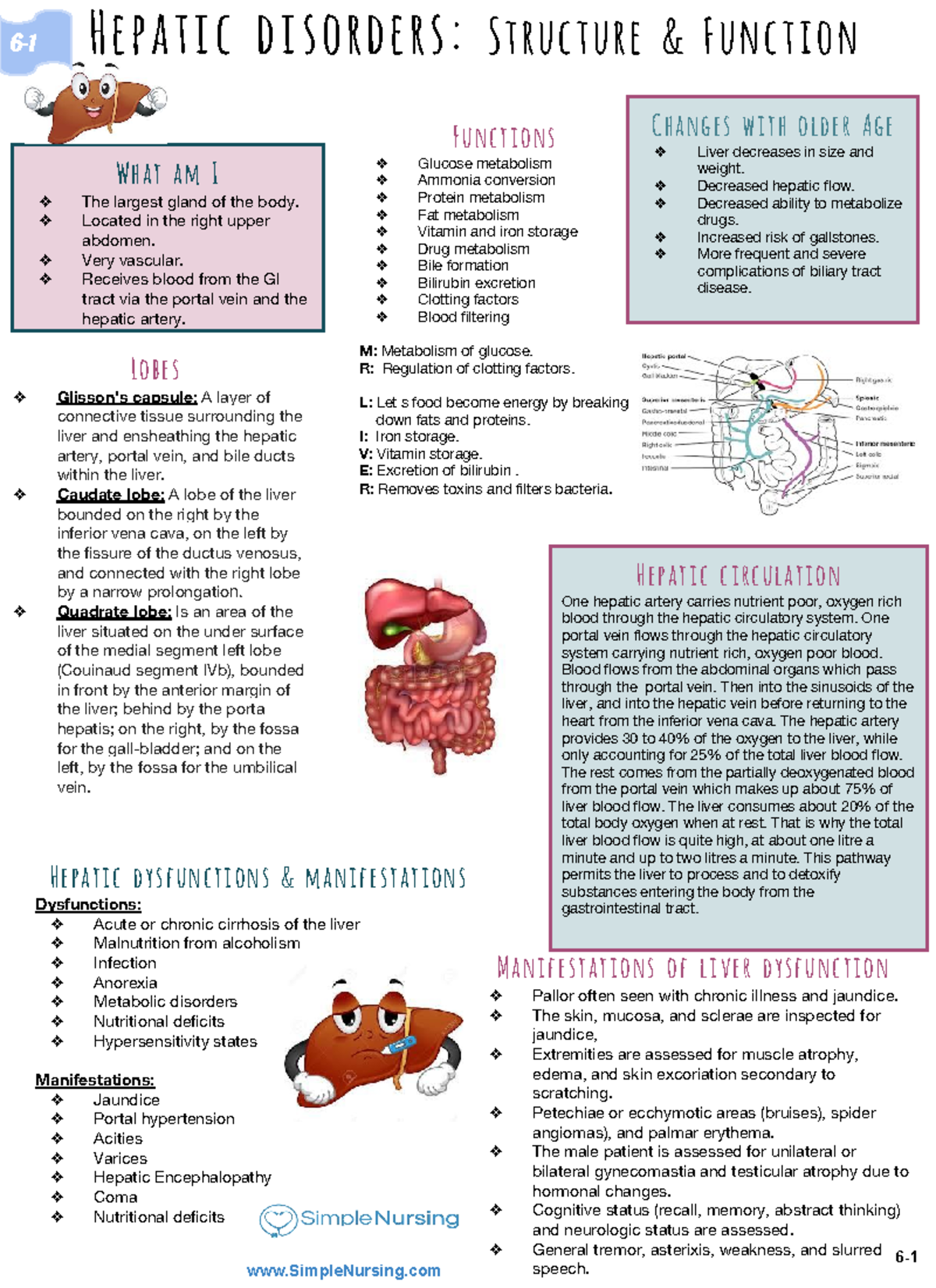 Liver study guide course. test 7 - Hepatic disorders: Structure ...