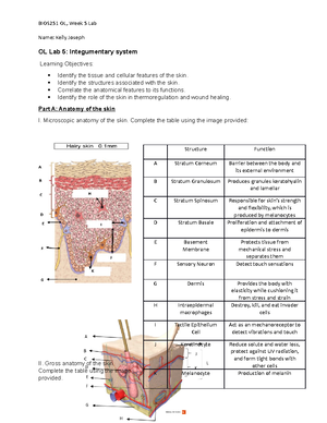 I-Human CMM worksheet NR 224 - NR-224 - Studocu