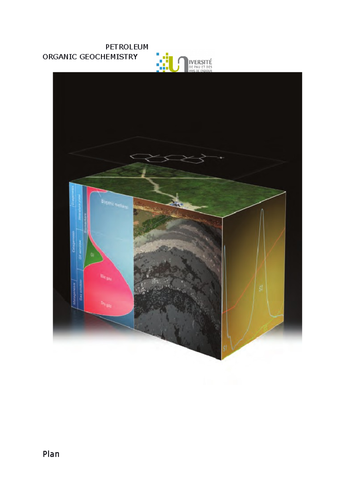 Petroleum Organic Geochemistry - PETROLEUM ORGANIC GEOCHEMISTRY Plan ...