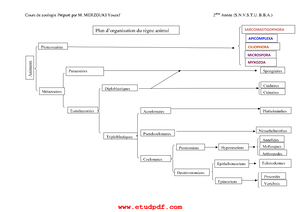 Semantics Chapter 1 last version - CHAPTER ONE SCOPE OF SEMANTICS 1 Introduction Both ...