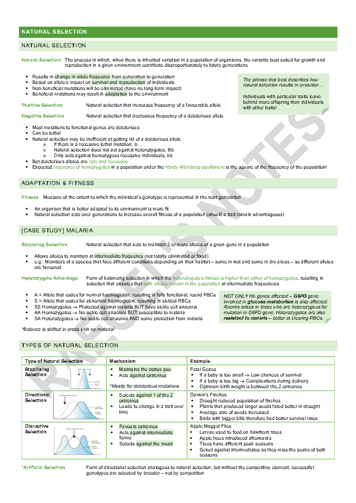 BIO1022 Notes - NATURAL SELECTION NATURAL SELECTION Natural Selection ...