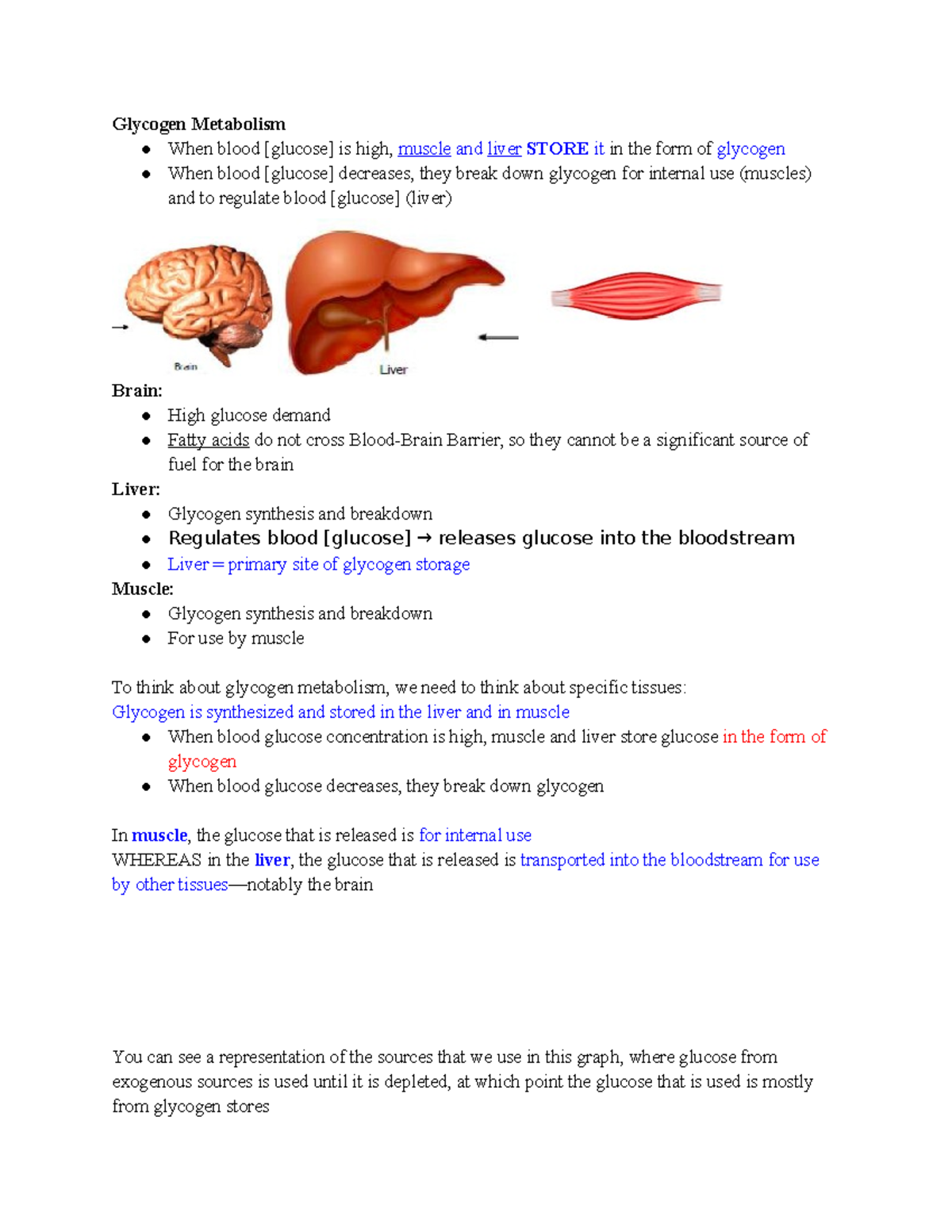 Module 16 Glycogen Metabolism - Glycogen Metabolism When blood [glucose ...