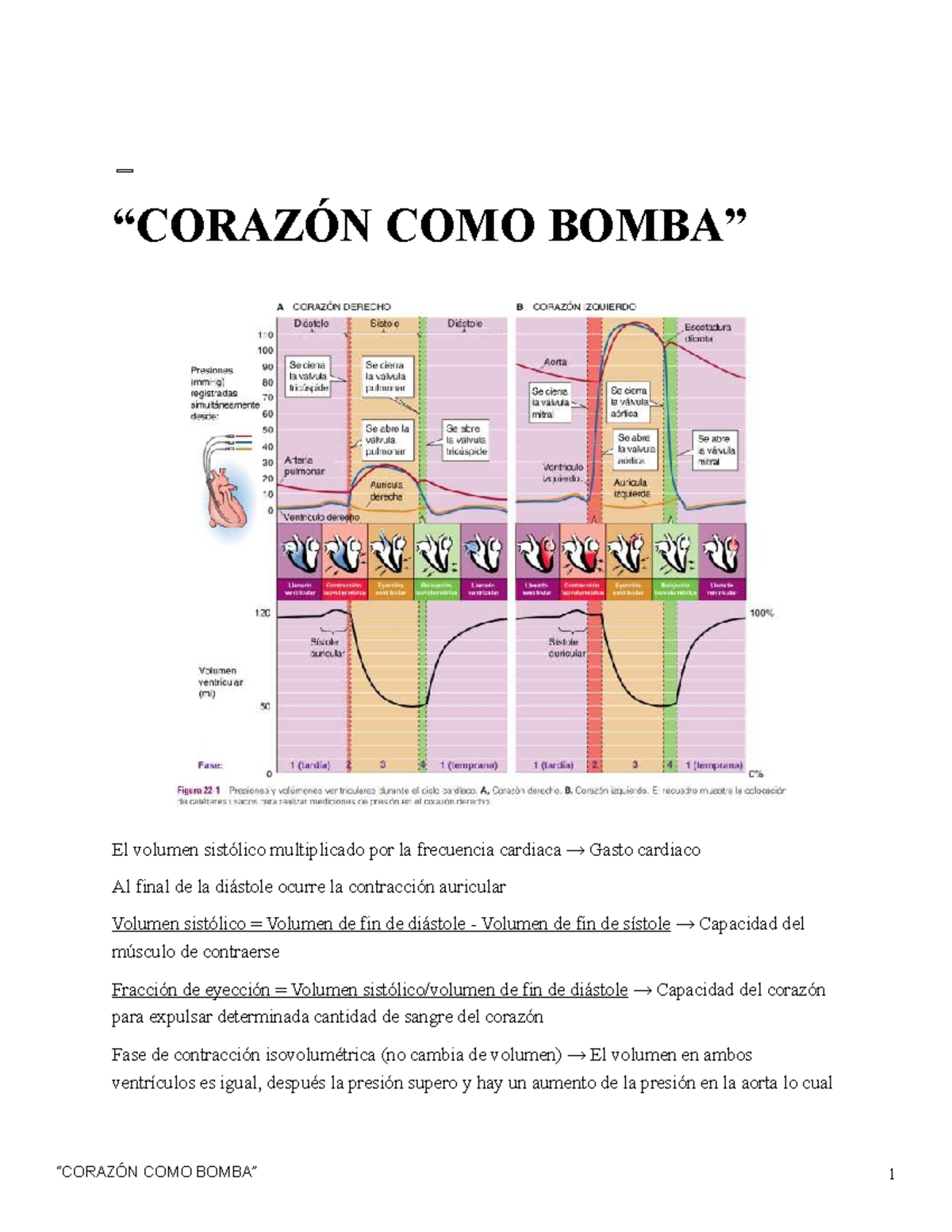 Fisiologia corazon como bomba - “CORAZÓN COMO BOMBA” 1 🀀 “CORAZÓN COMO ...
