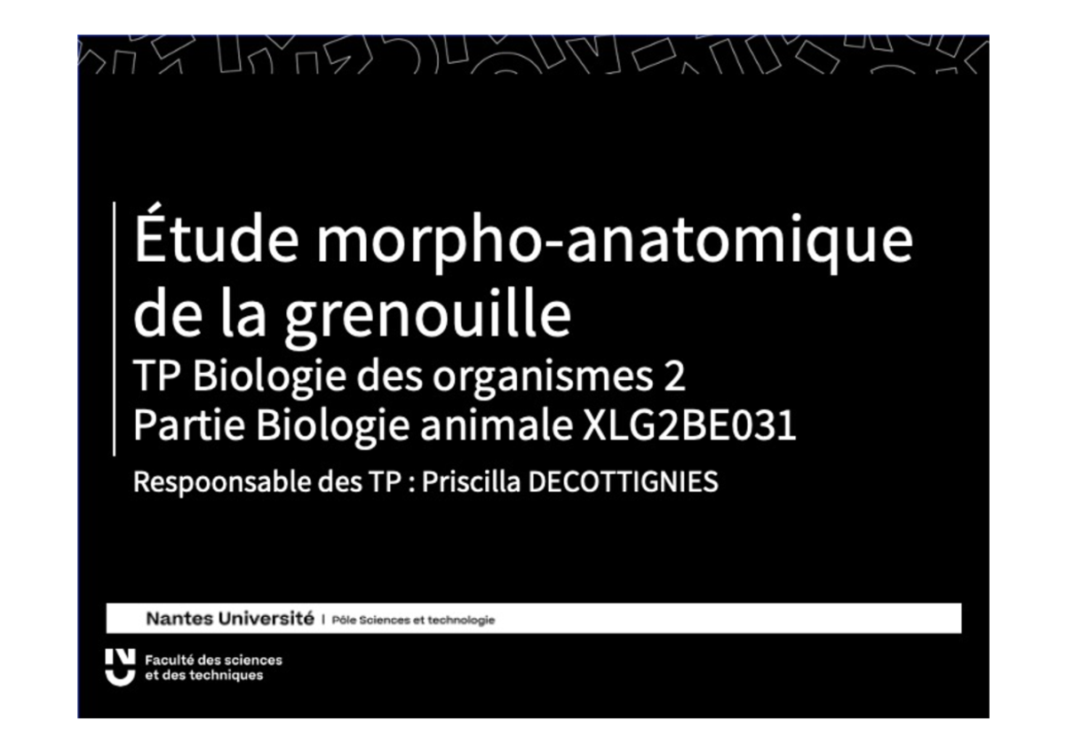TP1 grenouille BA 2 - Biologie Animale - Studocu