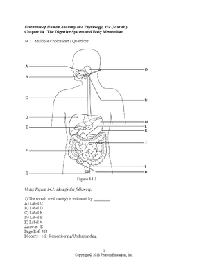 Ehap12e ch 09 test bank - Human Anatomy test bank. - Essentials of ...