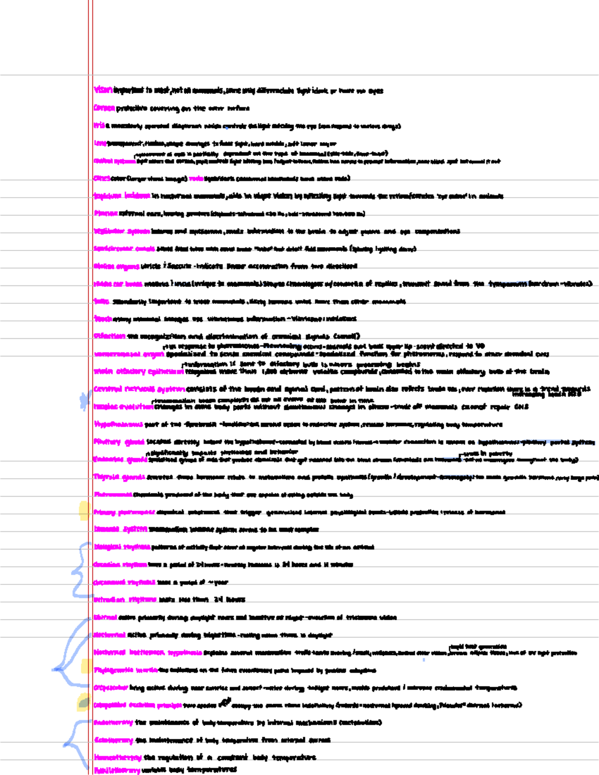 Test 2 Notes - Dr. Penning lecture, tests on bold - ViSoN important te ...