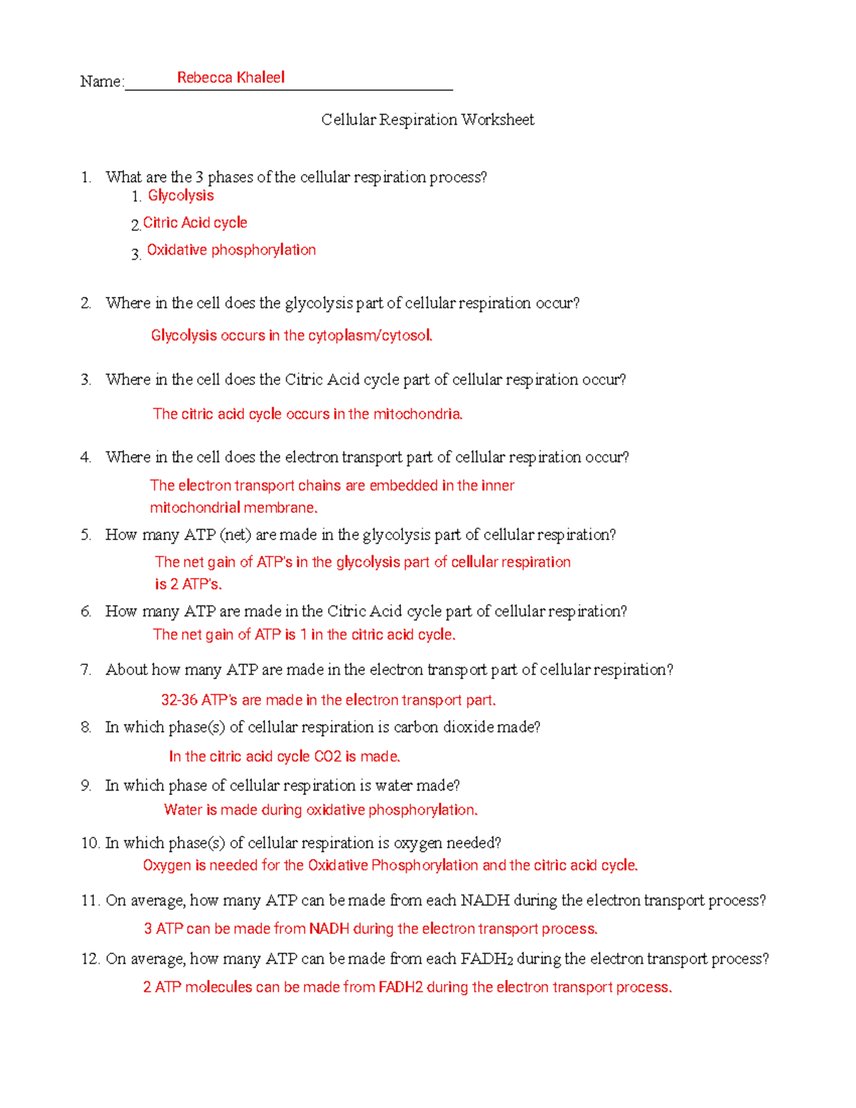 Kami Export - Cellular Respiration Work sheet Chpt 6 - Name