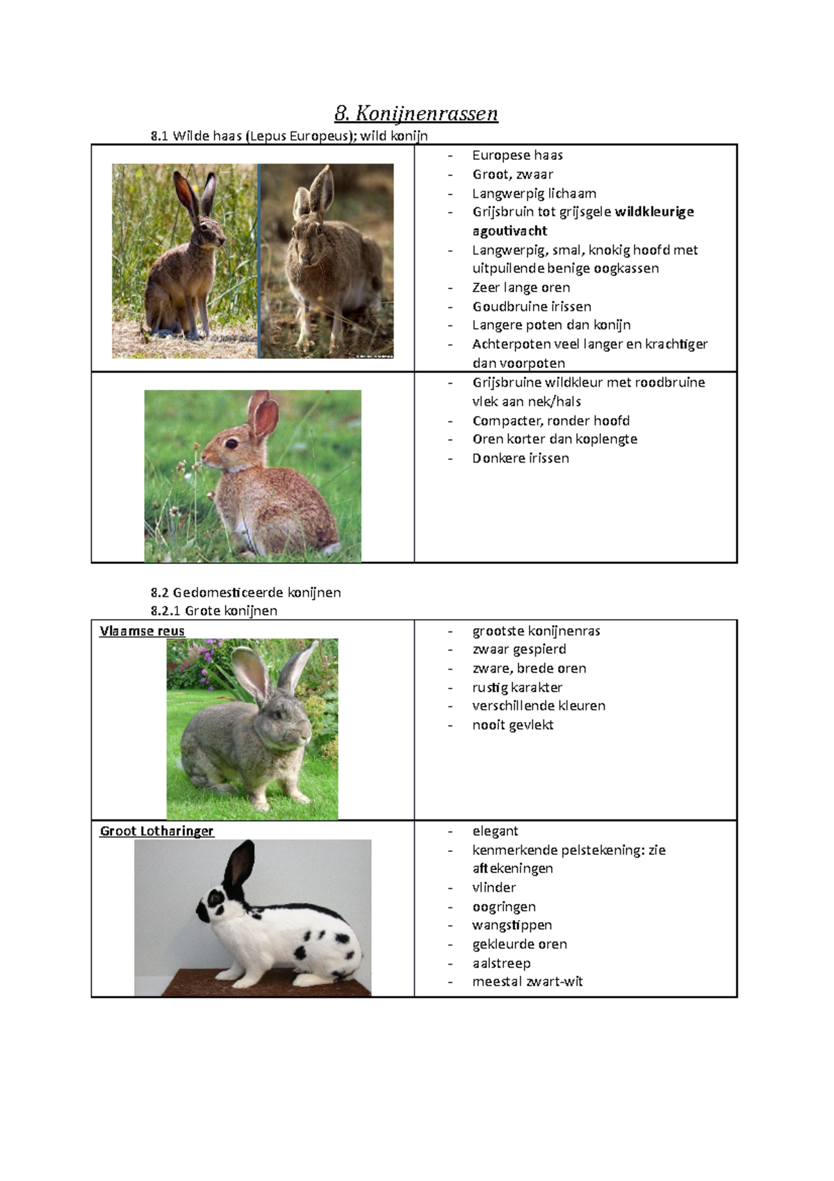 Rassen konijn - 8. Konijnenrassen 8 Wilde haas (Lepus wild konijn ...