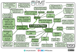 Lesson plan on critical pathway of care - Rajkumari Amrit Kaur college ...