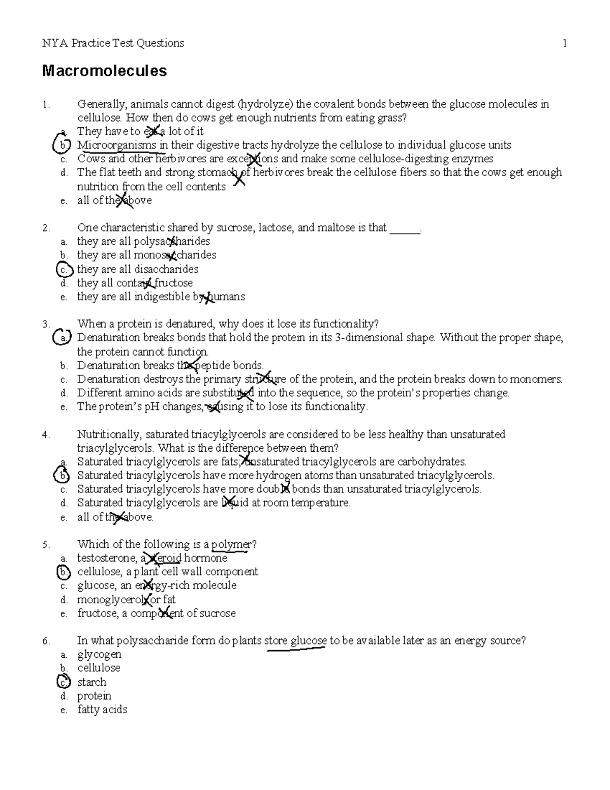Bio NYAPractice Questions 2 - Macromolecules - Macromolecules 1 ...