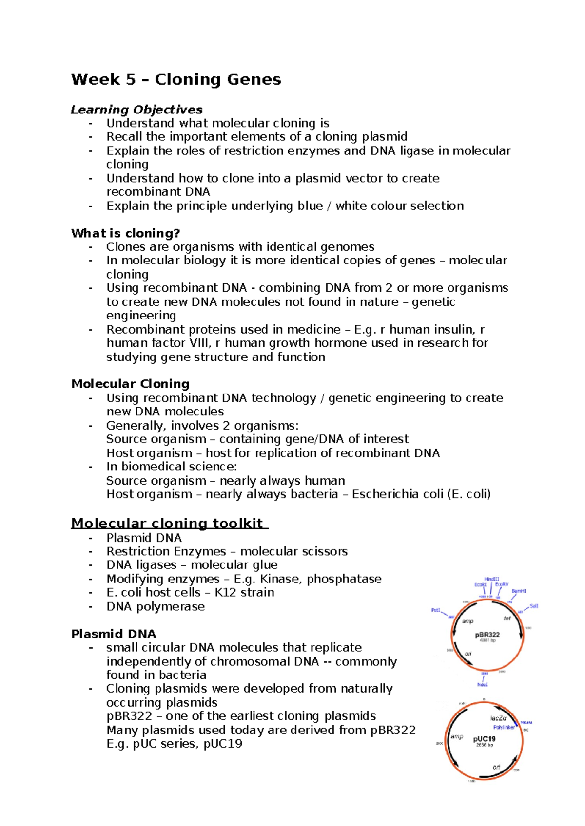 Week 5 Lecture Notes - Week 5 – Cloning Genes Learning Objectives ...