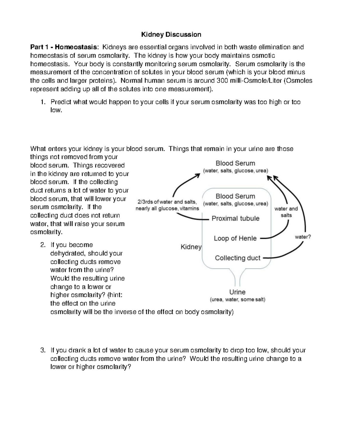 Discussion 2: Kidney - Kidney Discussion Part 1 - Homeostasis: Kidneys ...