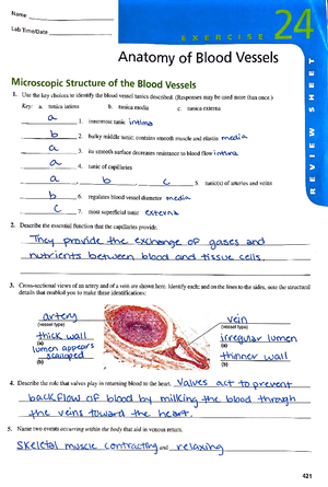 Lab ex. 14 - Gross anatomy of the brain and cranial nerves Dr. Peltzer - Name _________ _ Lab ...