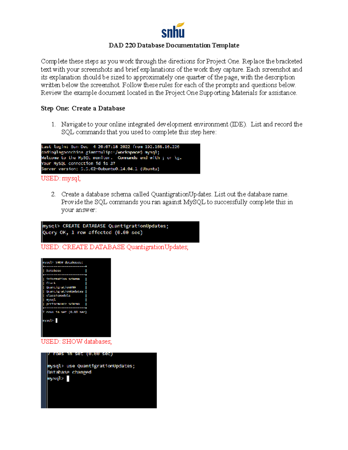 Project One - hope this helps - DAD 220 Database Documentation Template Complete these steps as ...