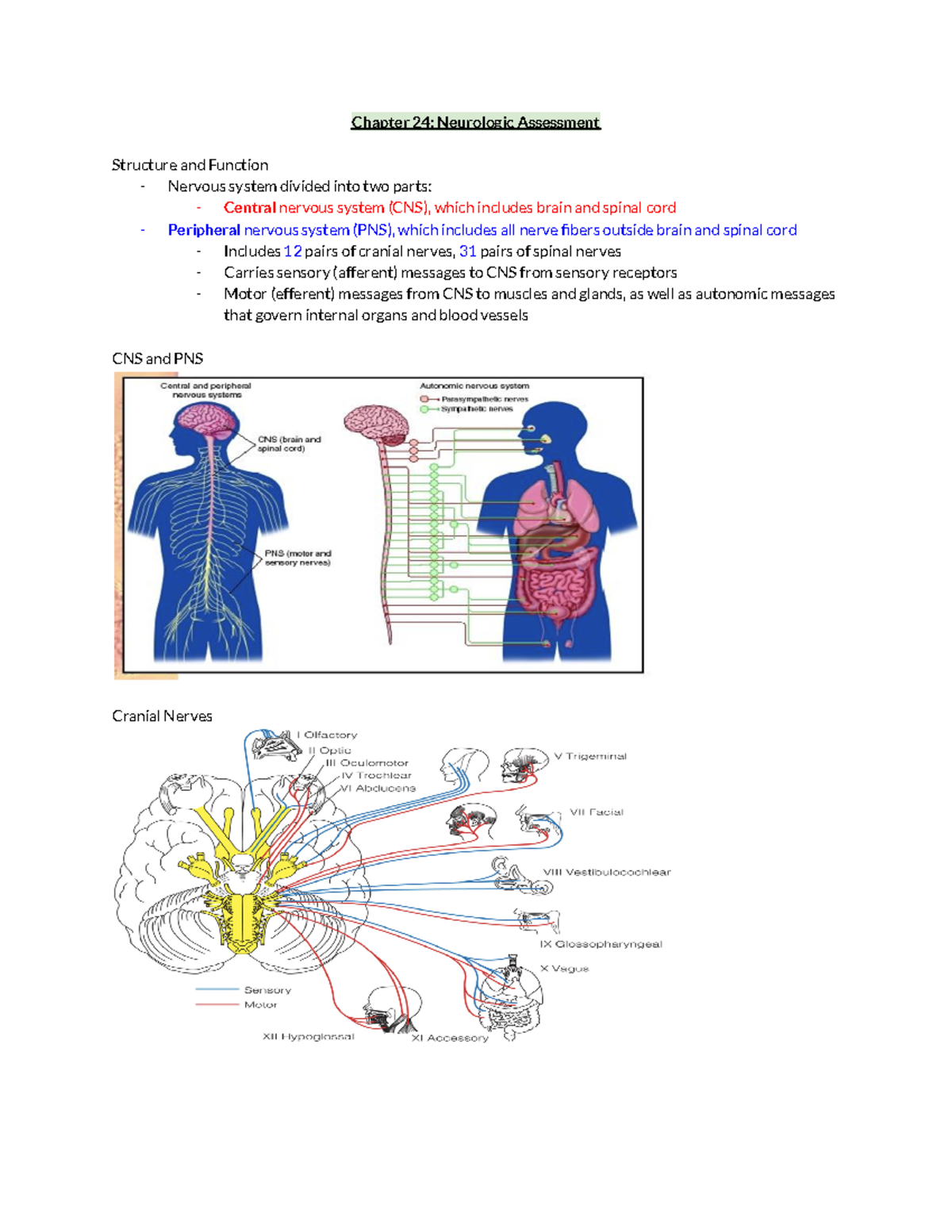 Health Assessment Ch. 24 Neurologic Assessment - Chapter 24: Neurologic Assessment Structure and ...