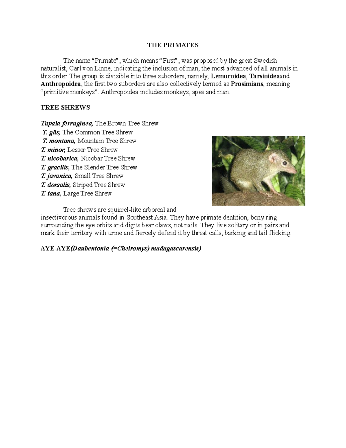 THE Primates - Lecture notes 1-3 - THE PRIMATES The name “Primate ...