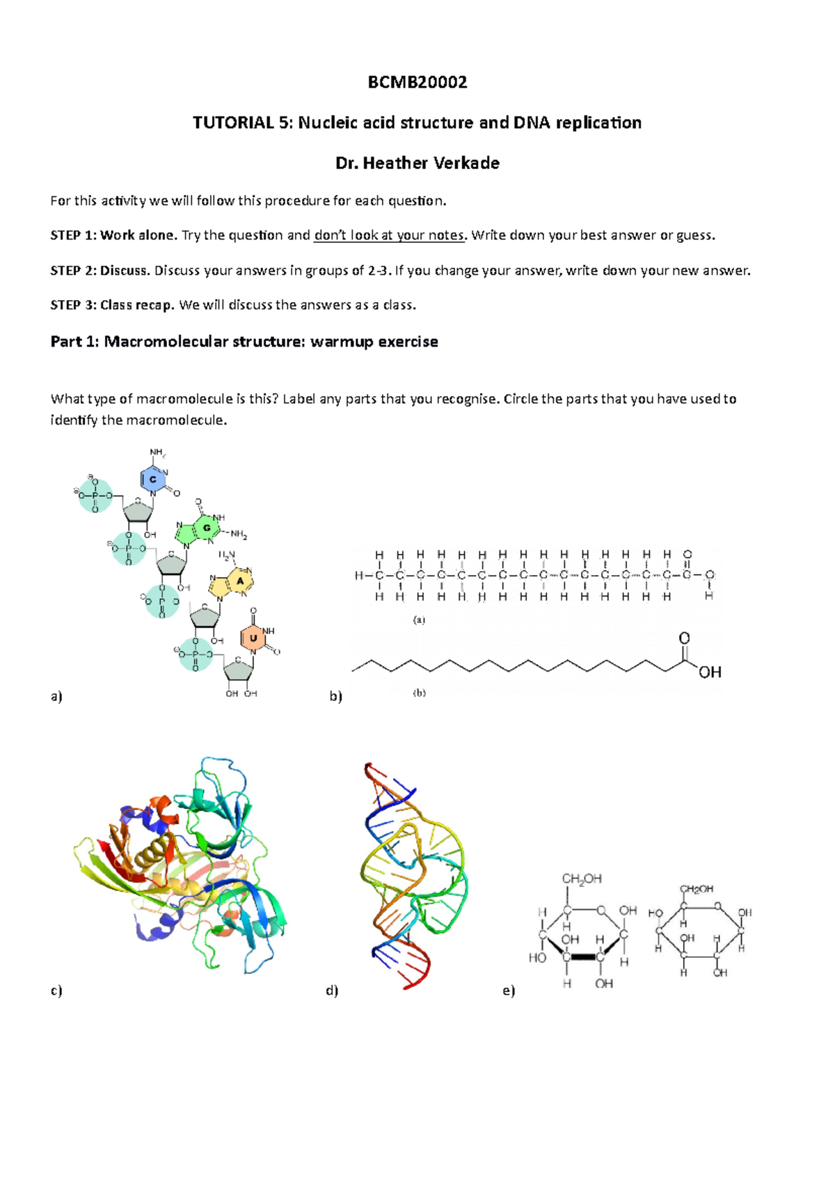 Tutorial 5 2017 - BCMB20002 TUTORIAL 5: Nucleic acid structure and DNA ...