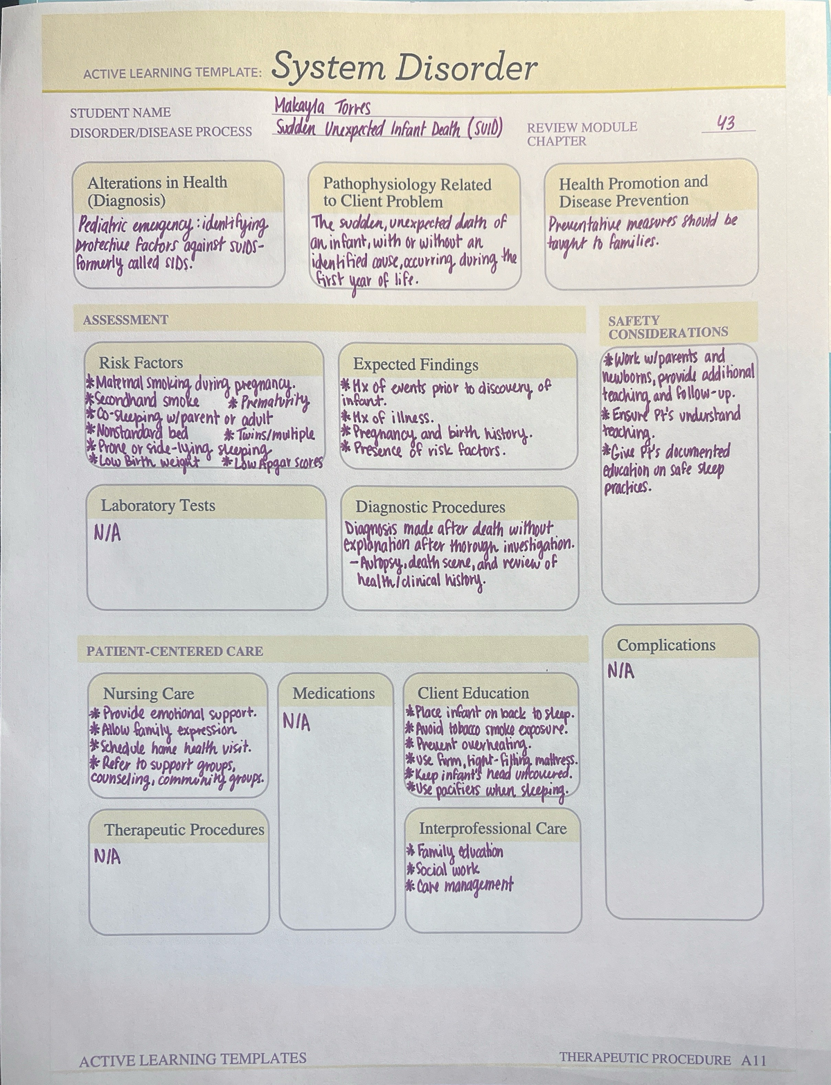 Sudden unexpected infant syndrome - ACTIVE LEARNING TEMPLATE: System ...