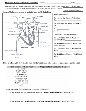 Exam 4 version A with key - 1DPH BBBBBBBBBBBBBBBBBBBBBBBBBBBBBBB ...