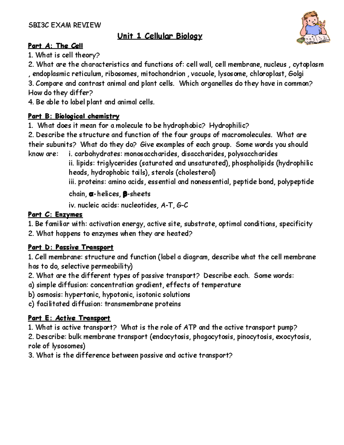 Midterm review biology 2024 - SBI3C EXAM REVIEW Unit 1 Cellular Biology ...