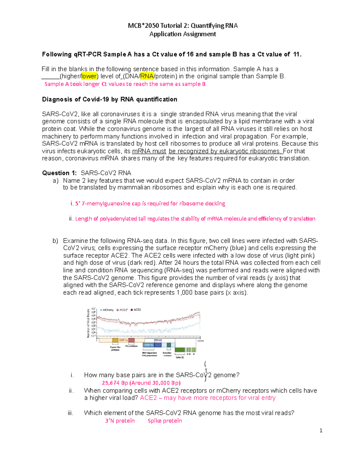 W23 RNA processing Seminar 2 Word - Following qRT-PCR Sample A has a Ct ...