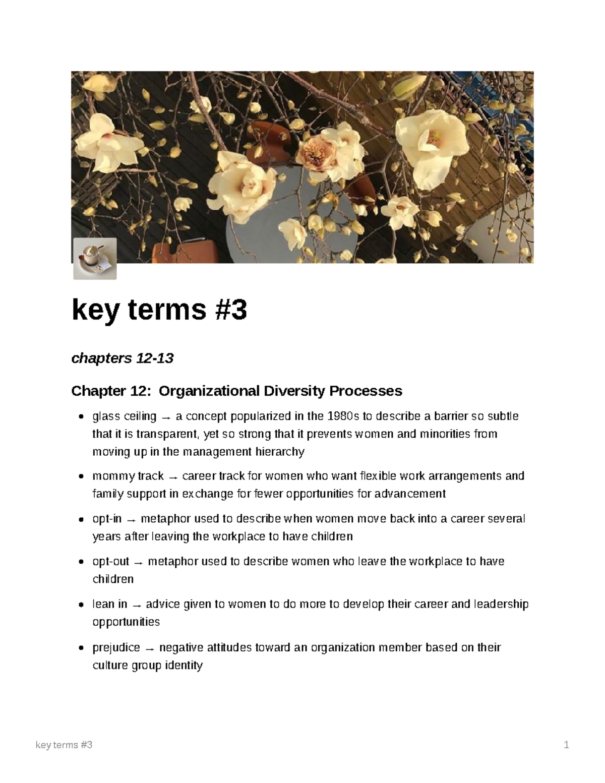 Chapter 12: Organizational Diversity Processes and Chapter 13: Technological Processes - Studocu