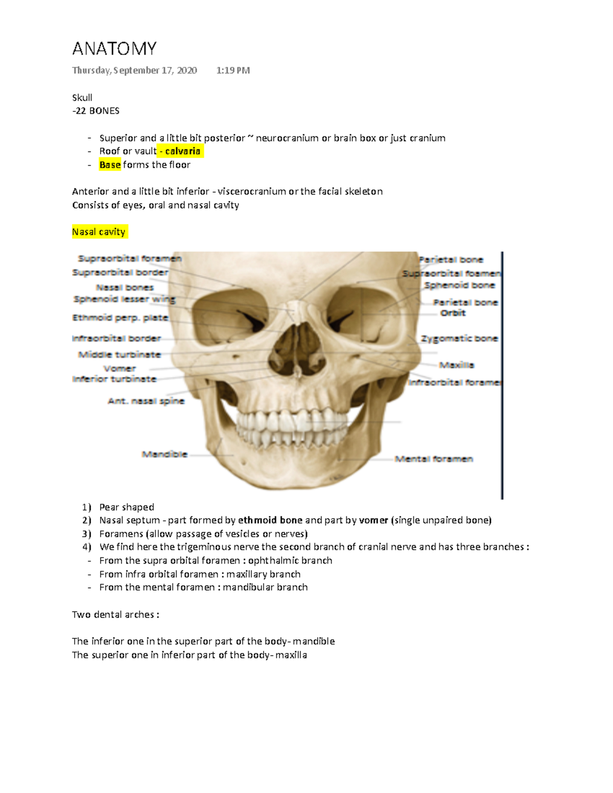 Anatomy of the skull - Lecture notes 1 - ^ŬƵůů ͲϮϮ KE ^ - Studocu