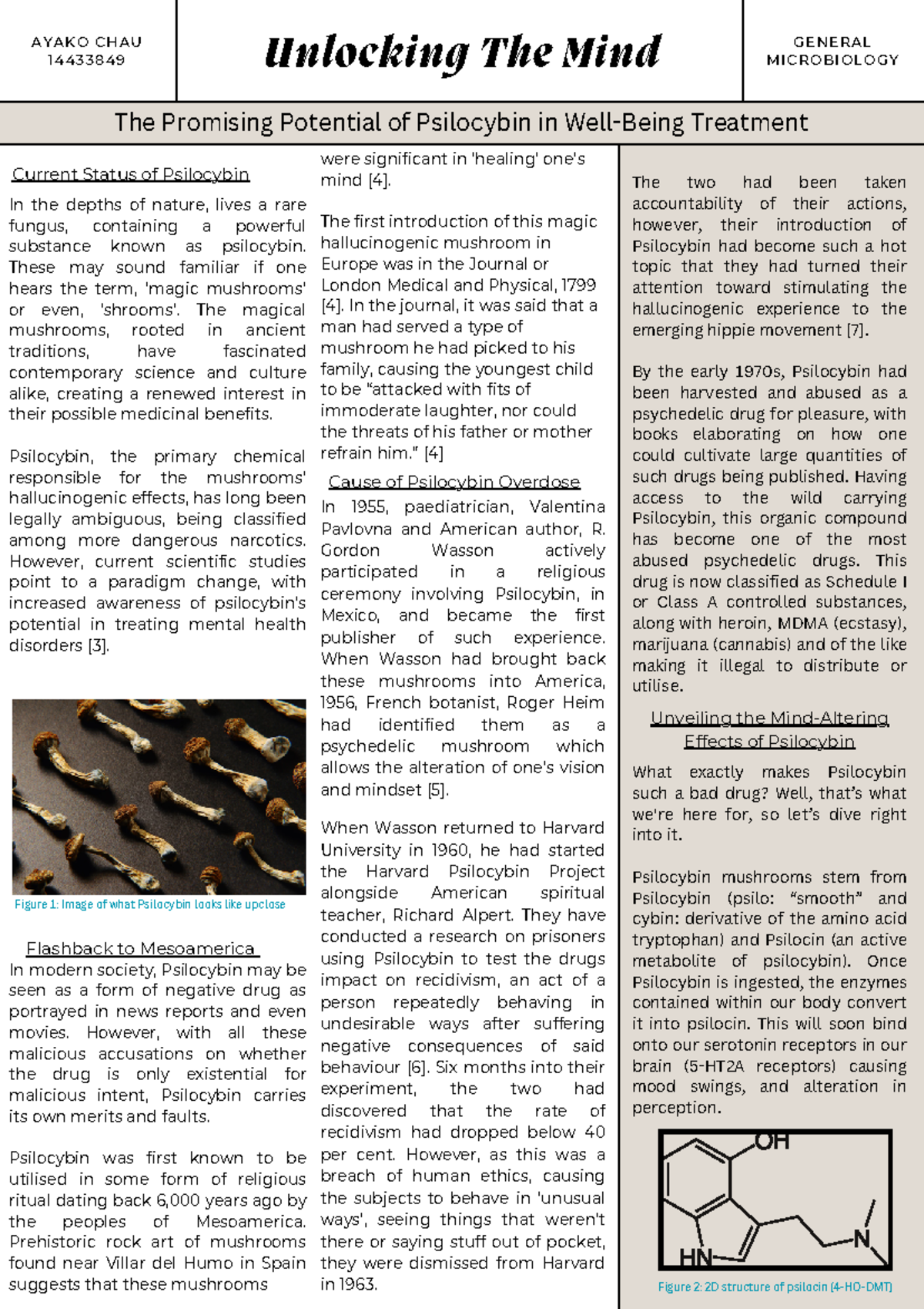 Article for Psilocybin - Unlocking The Mind In modern society ...