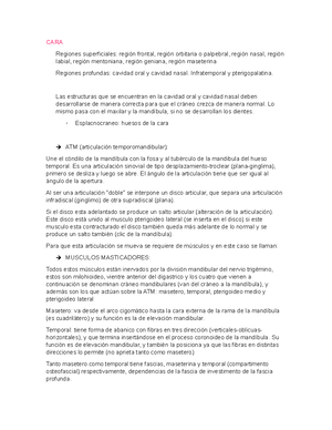 Resumen Morfo Prueba 1 PDF - Morfología INTRODUCCIÓN A LA MORFOLOGÍA ¿Qué estudia la morfología ...