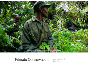 Lecture notes, lecture 15 - Primate Life Cycle - The Primate Life Cycle ...