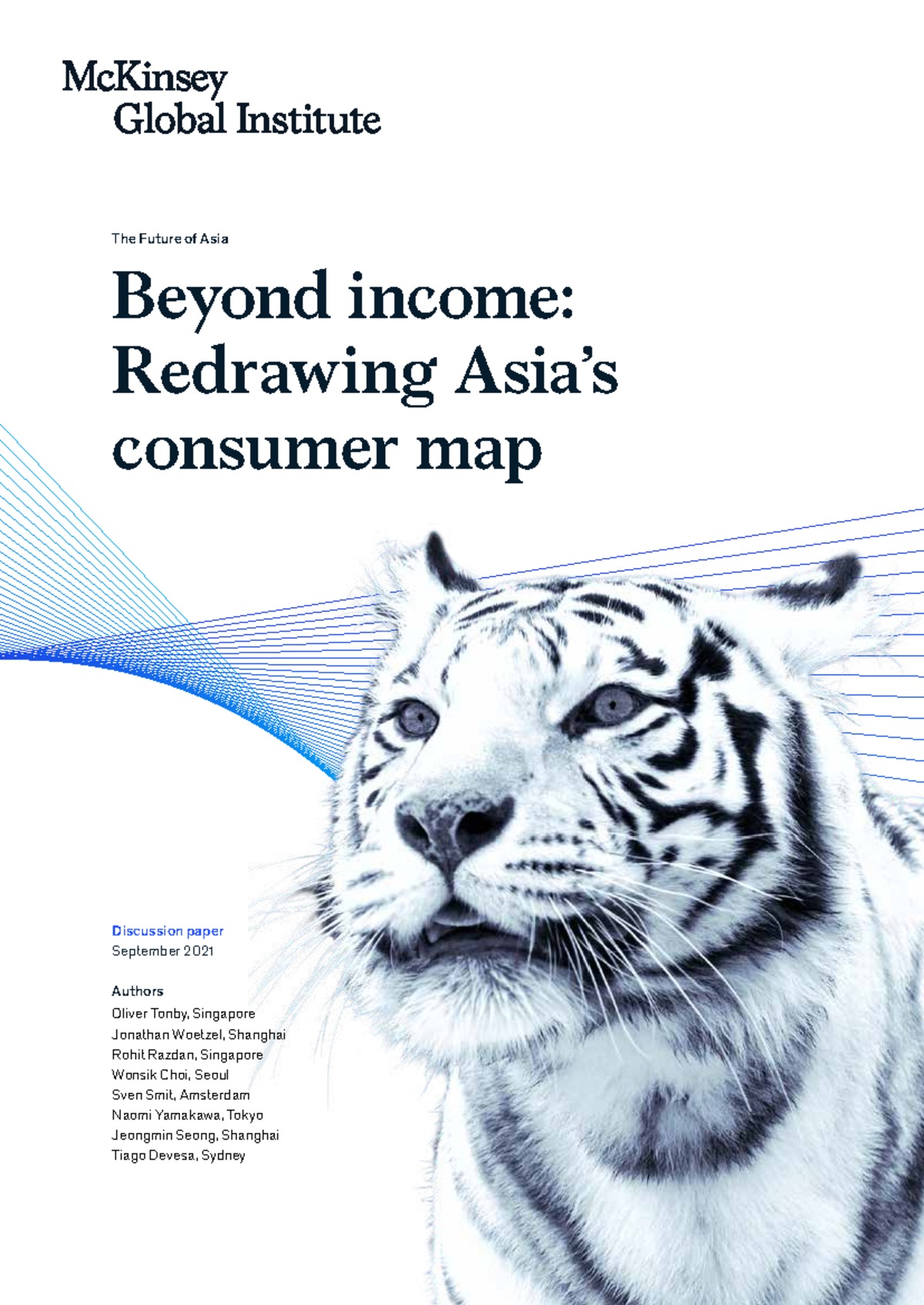 Beyond income redrawing asias consumer map discussion paper - The ...