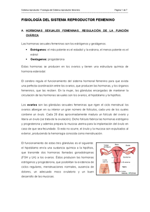 Patrones de movimiento multiarticular - Exp Brain Res (1995) 107:254 ...