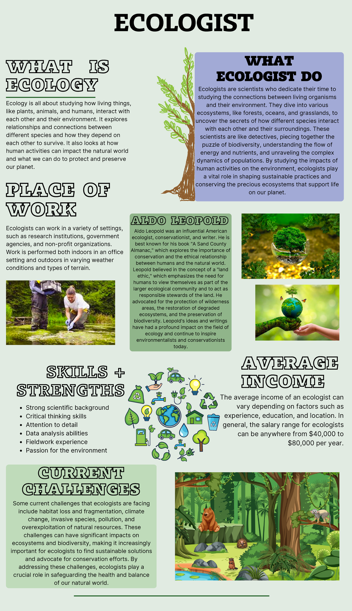 Green Illustrated Retro Ecology Infographic (12 x 20.832 in) - WHAT IS ...