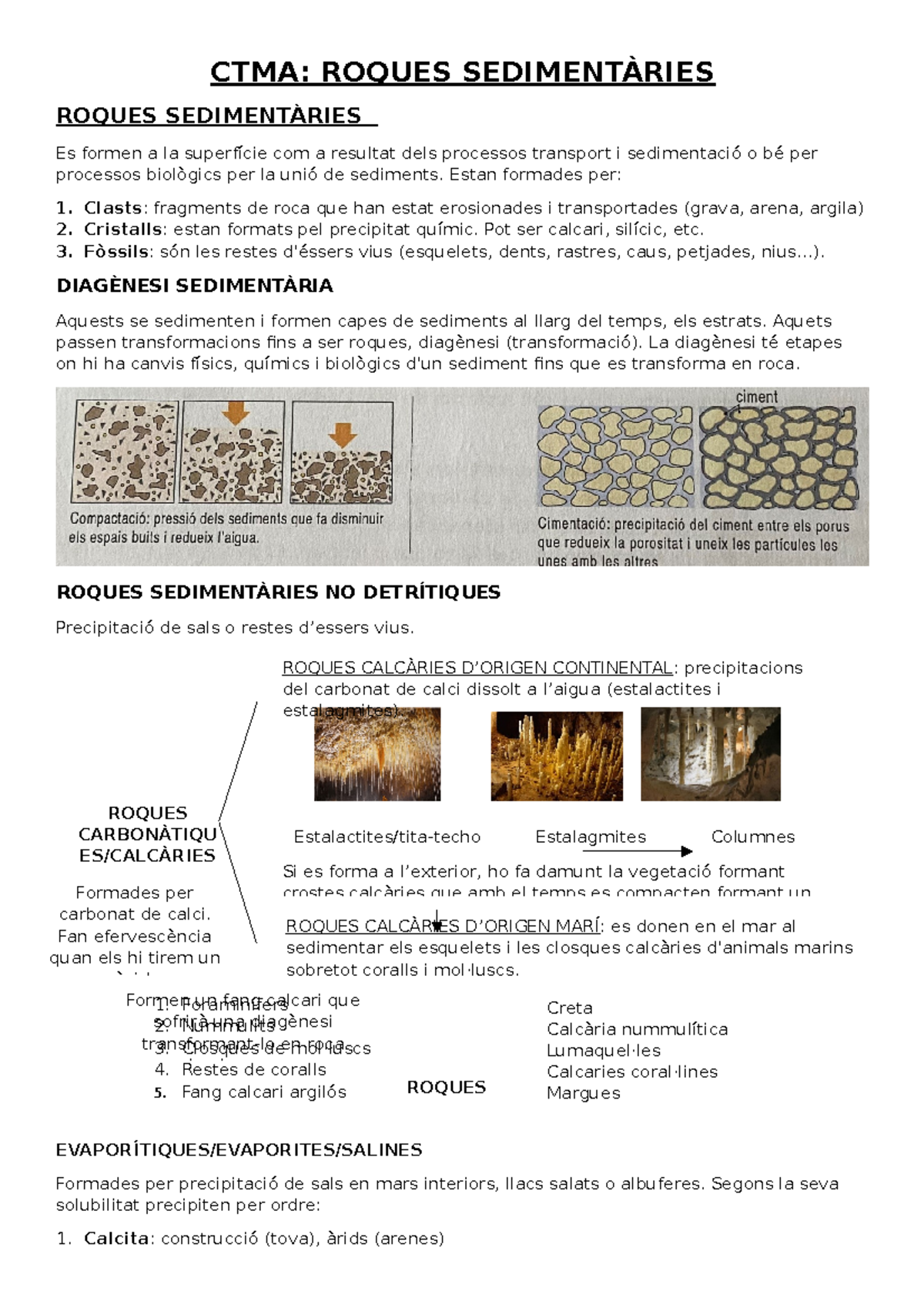 CTMA Roques Sedimentàries - CTMA: ROQUES SEDIMENTÀRIES ROQUES ...
