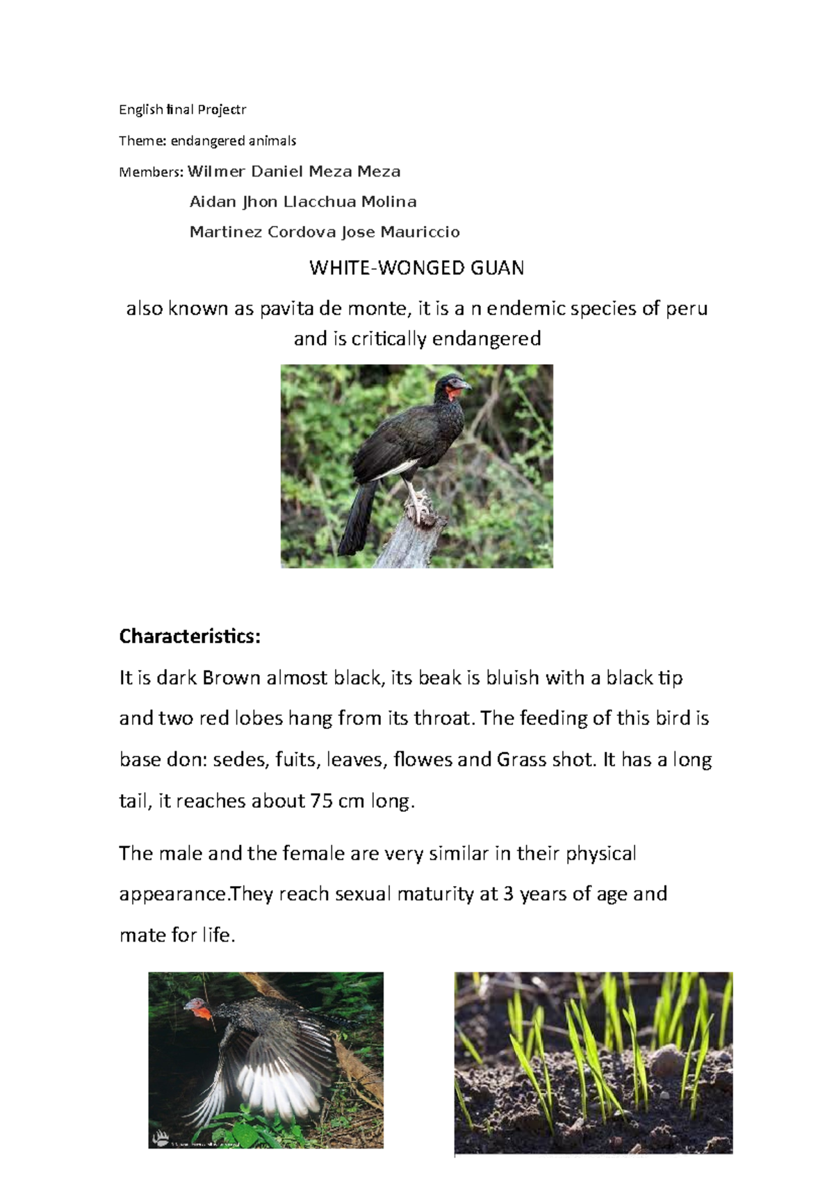 English final Projectr - English final Projectr Theme: endangered ...