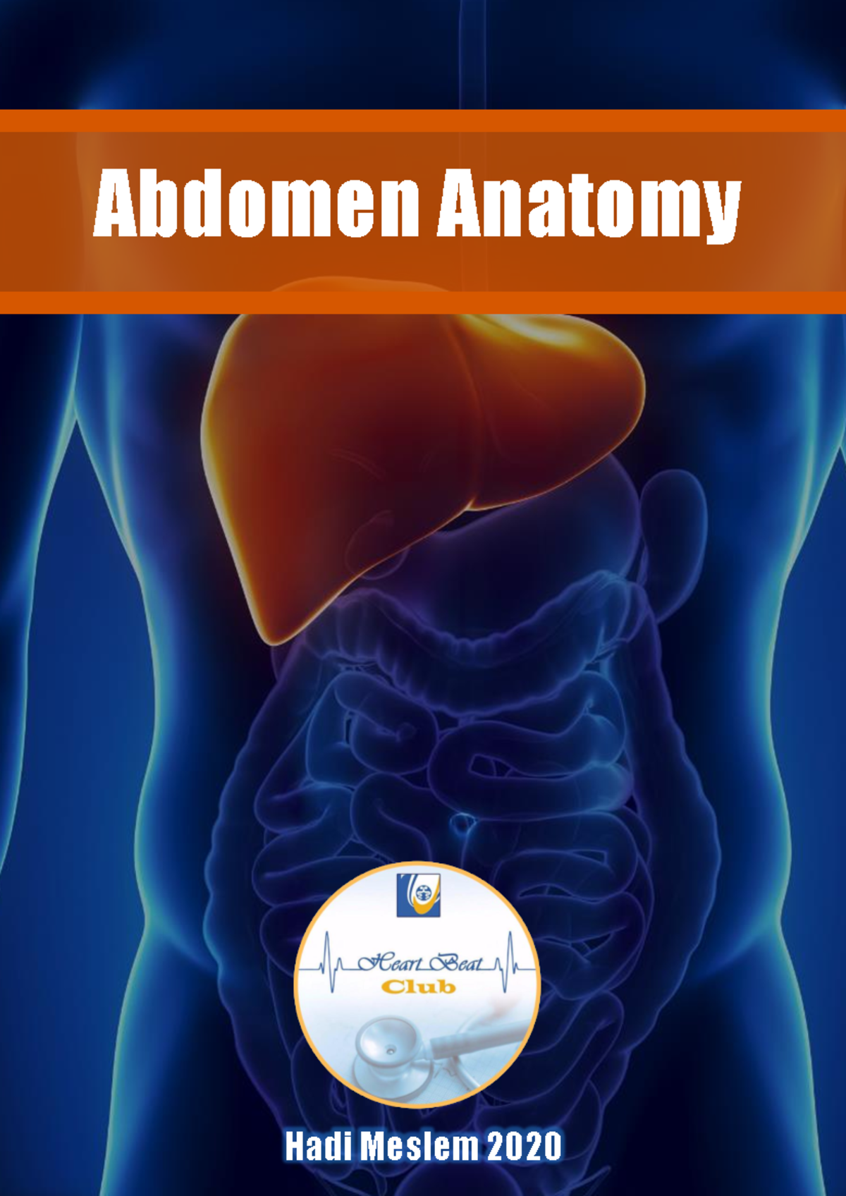 Abdomen - notes - Page | 0 Abdomen Anatomy Hadi Meslem 2020 ABDOMEN The ...