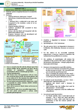 ASH Understanding SCD Infographic 2019 - UNDERSTANDING SICKLE CELL ...
