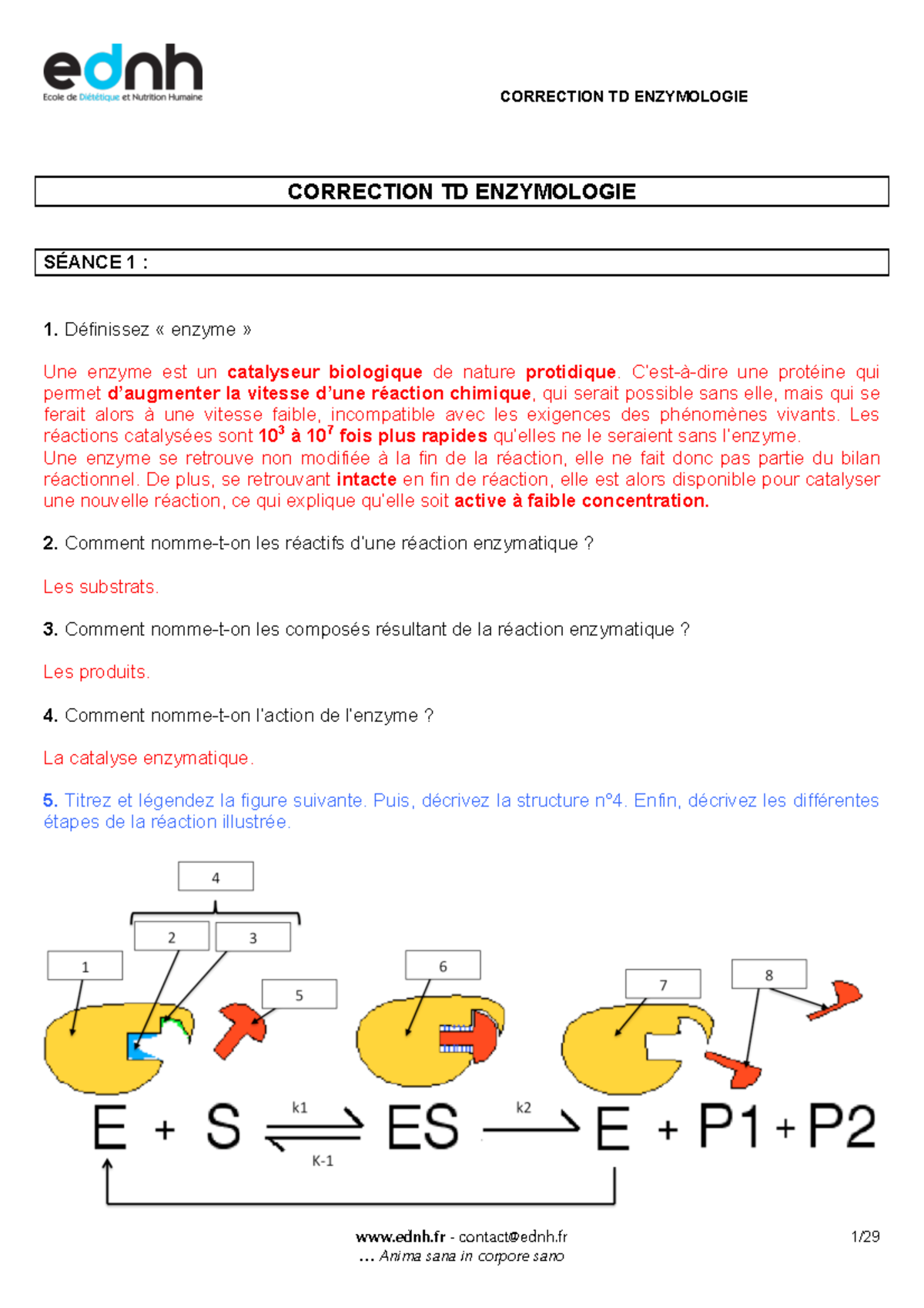 TD-Corrigé-Enzymologie - ednh - contact@ednh 1 / CORRECTION TD ...