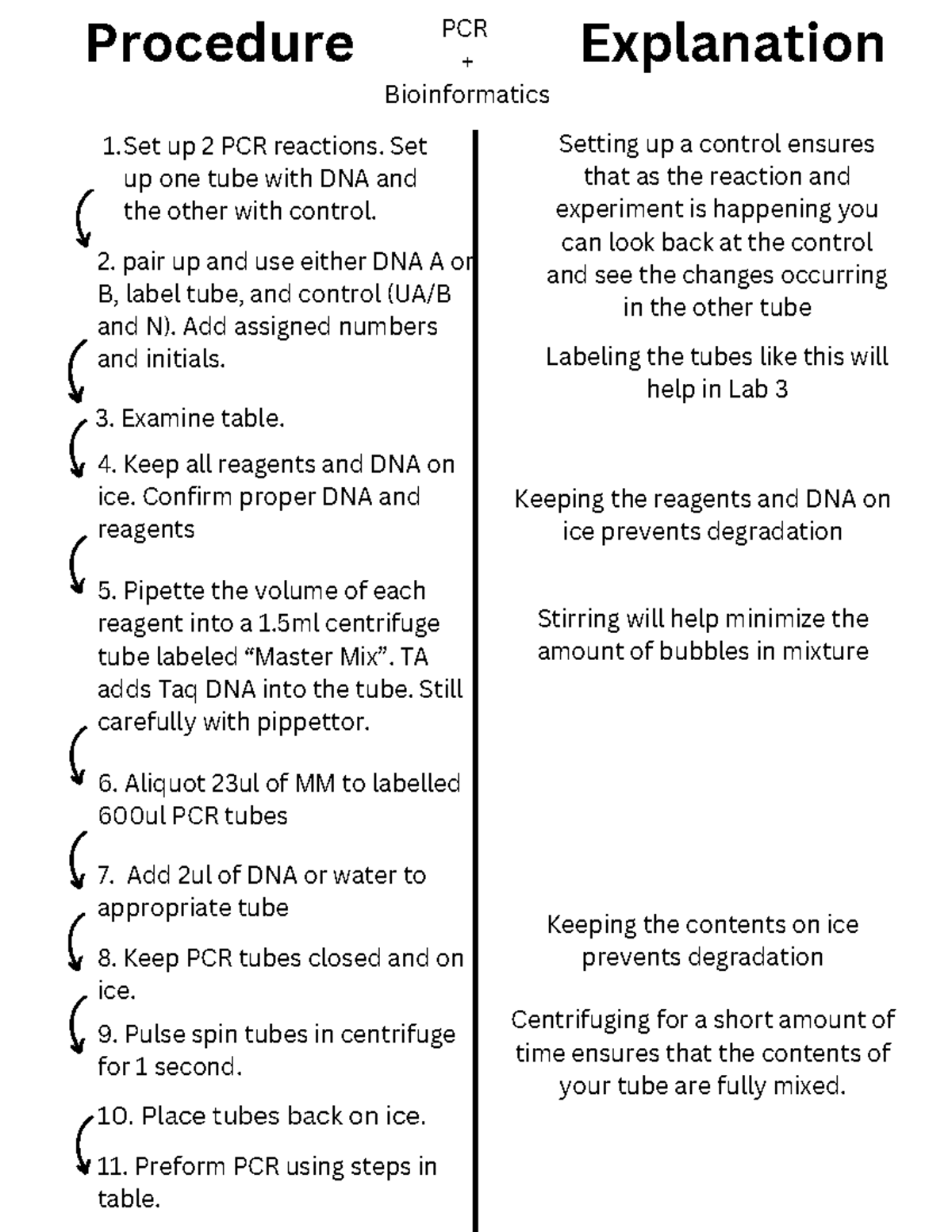 Lab 2 Flow chart - 2. pair up and use either DNA A or B, label tube ...
