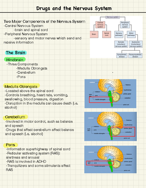 Drugbasics 2 - Review notes for Exam 1. Goes over drug basics. - Drug ...