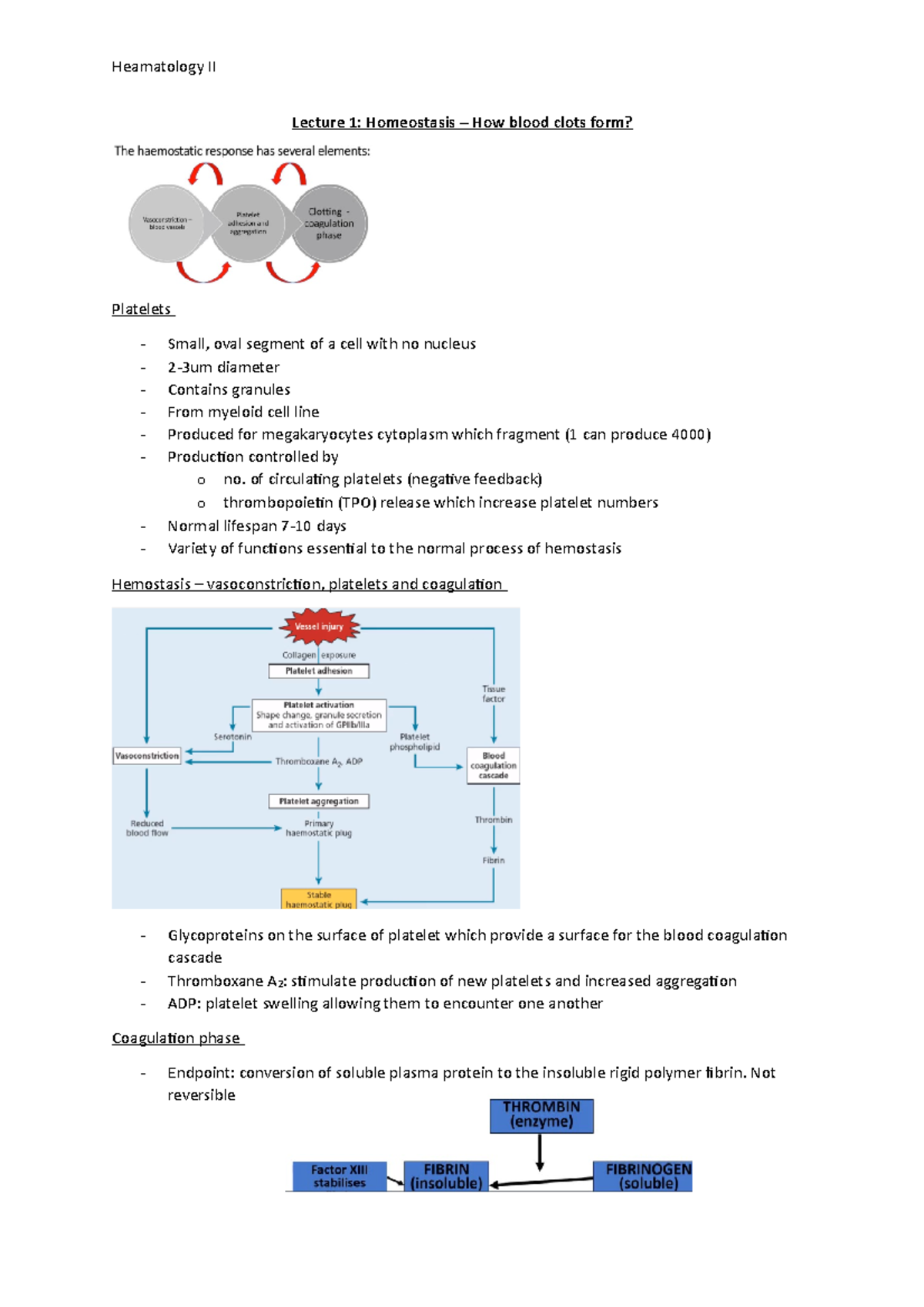 Heamatology II - lecture notes - Lecture 1: Homeostasis – How blood ...