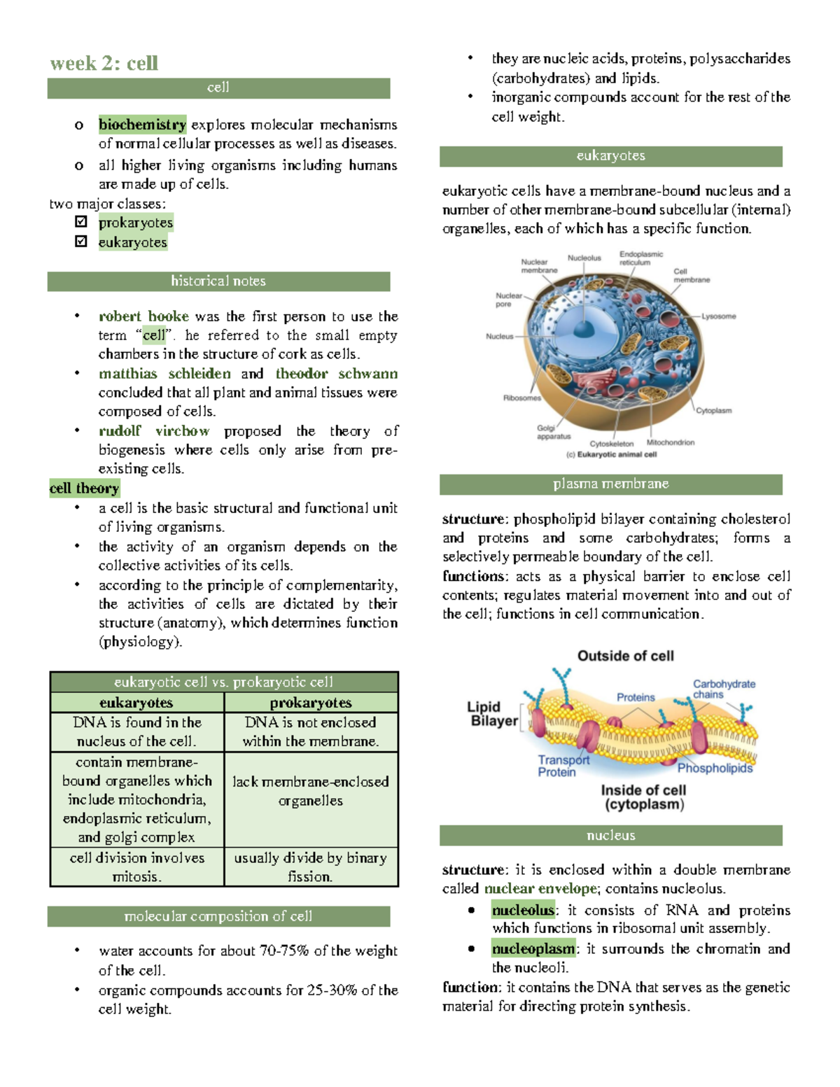 Biochem CELL - NOTES - week 2: cell cell o biochemistry explores ...