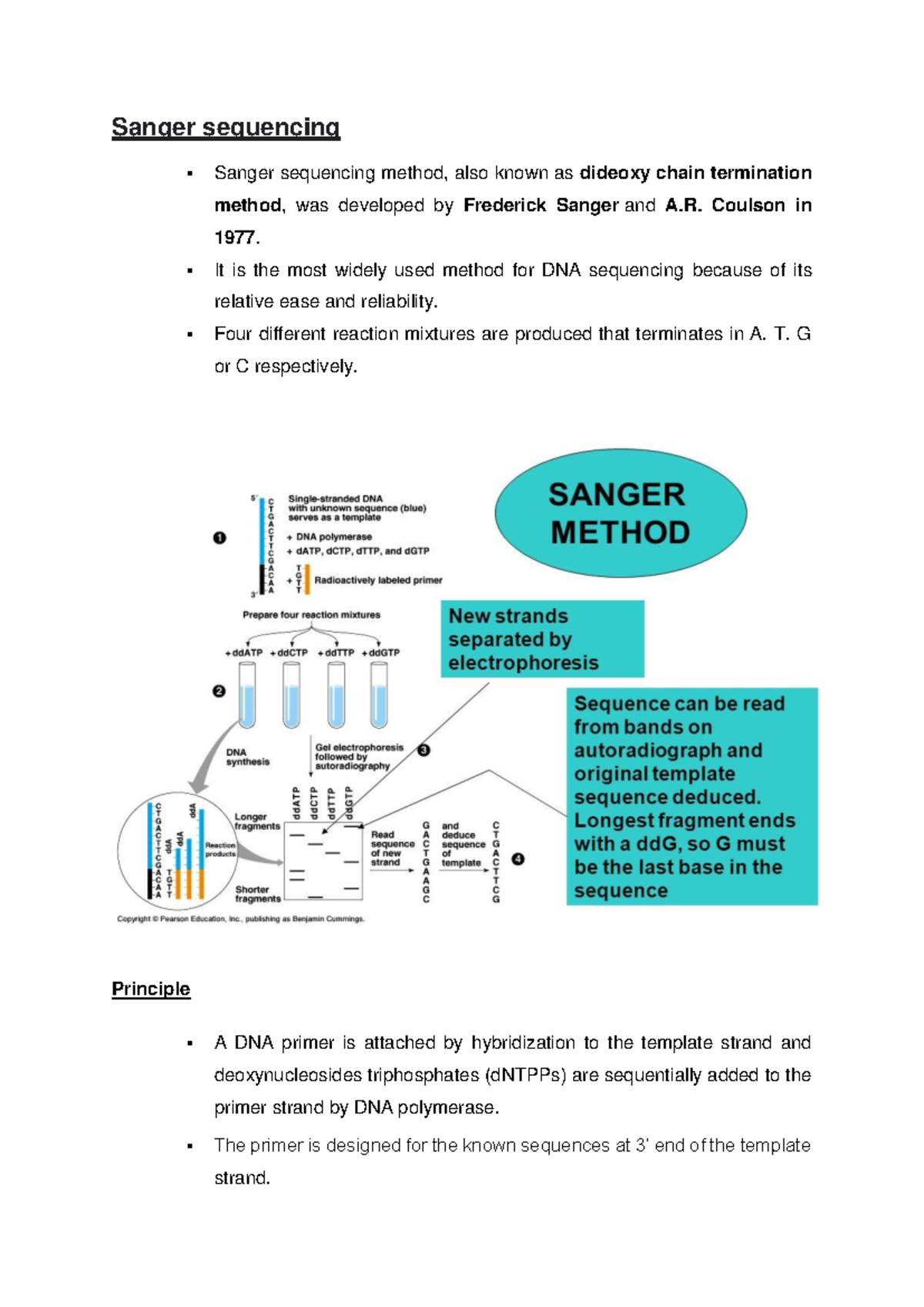 Northern blotting - Sanger sequencing Sanger sequencing method, also ...