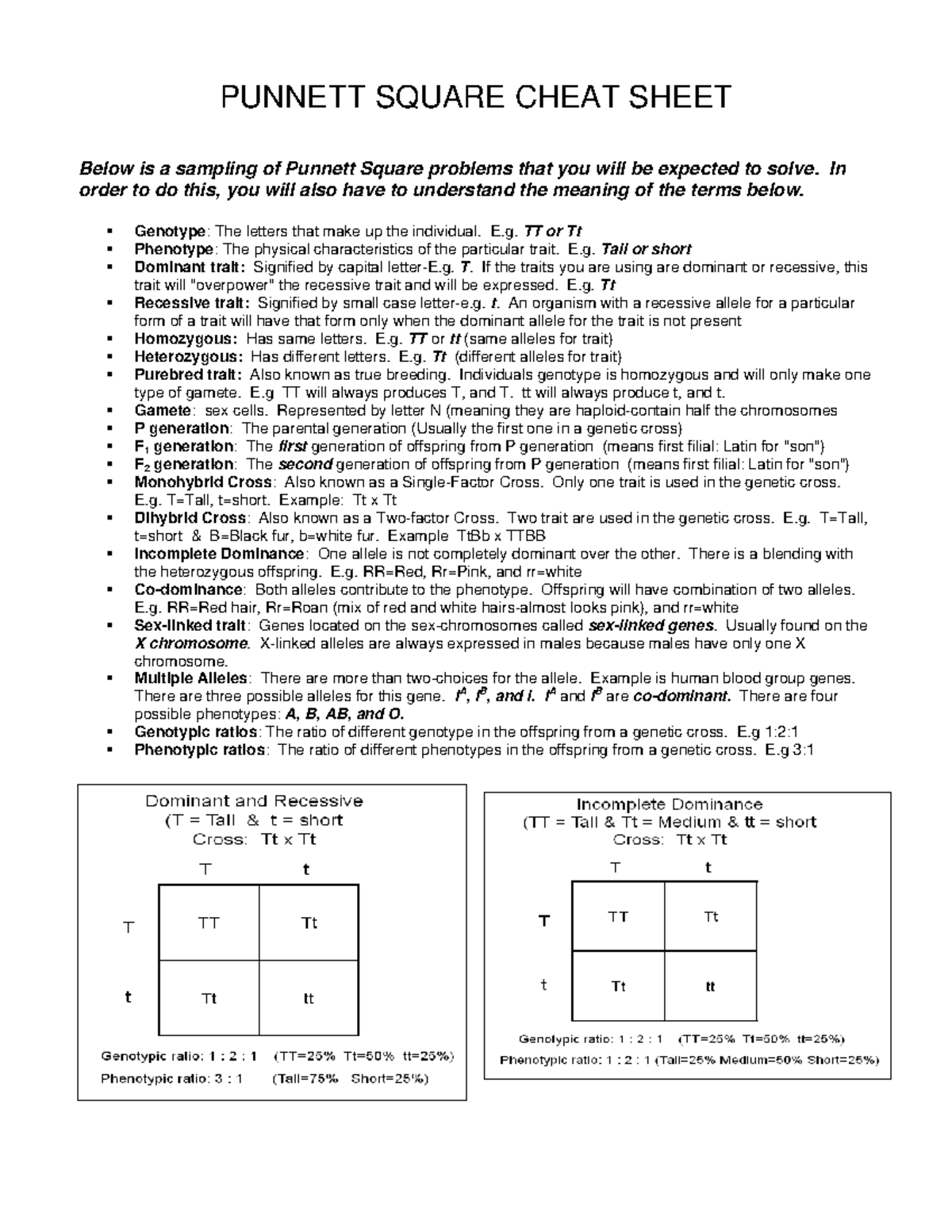 Codominant Punnett Square
