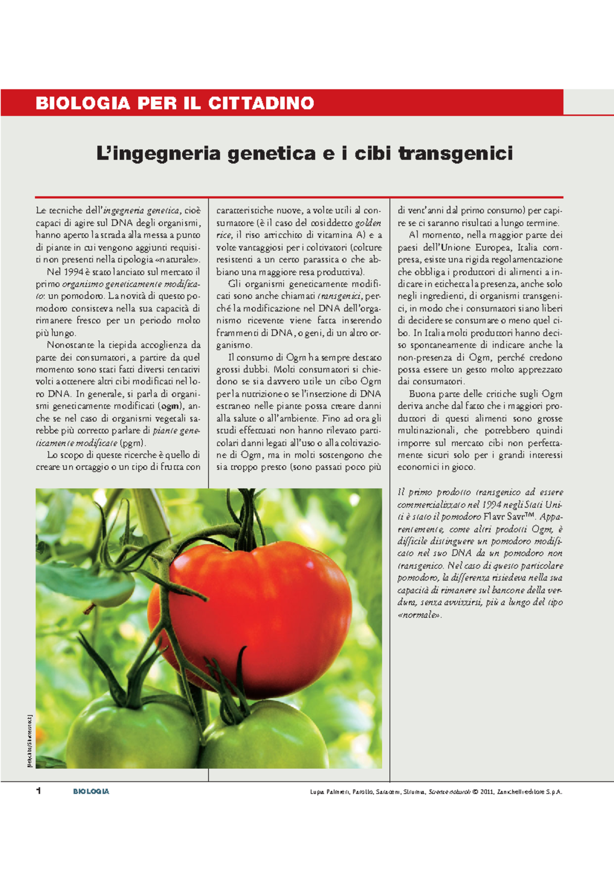 4. Ingeneria genetica e OGM - Le tecniche dell’ ingegneria genetica ...
